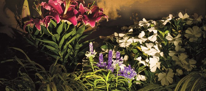 What the Kelvin? Choosing the Right Outdoor Lighting Color Temperature