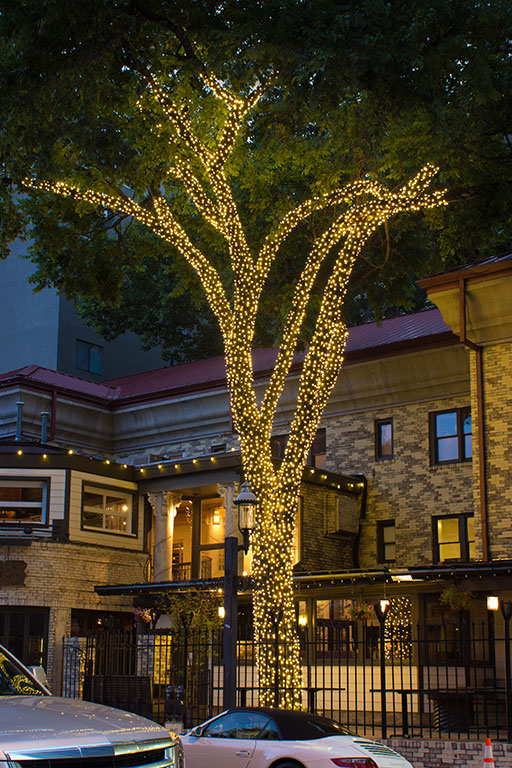 Permanent Decorative Tree Wraps