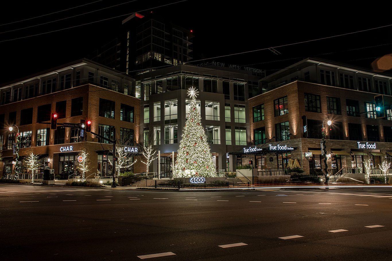 Transform Your Space with a Commercial Christmas Tree Installation